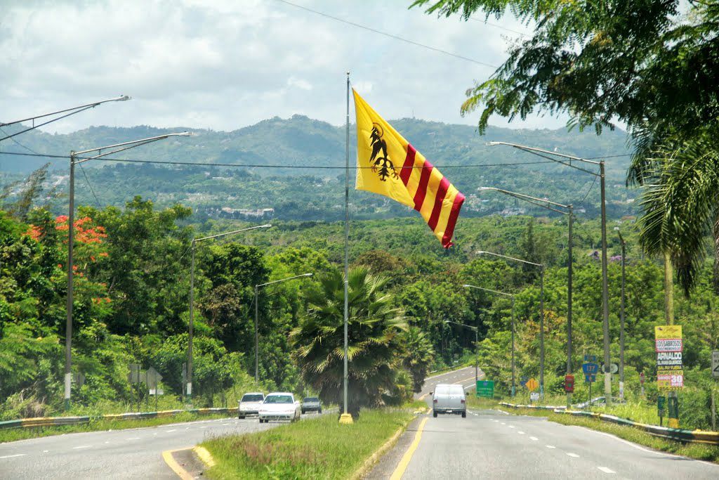 Morovis invita a actividades artísticas para conmemorar bicentenario ...