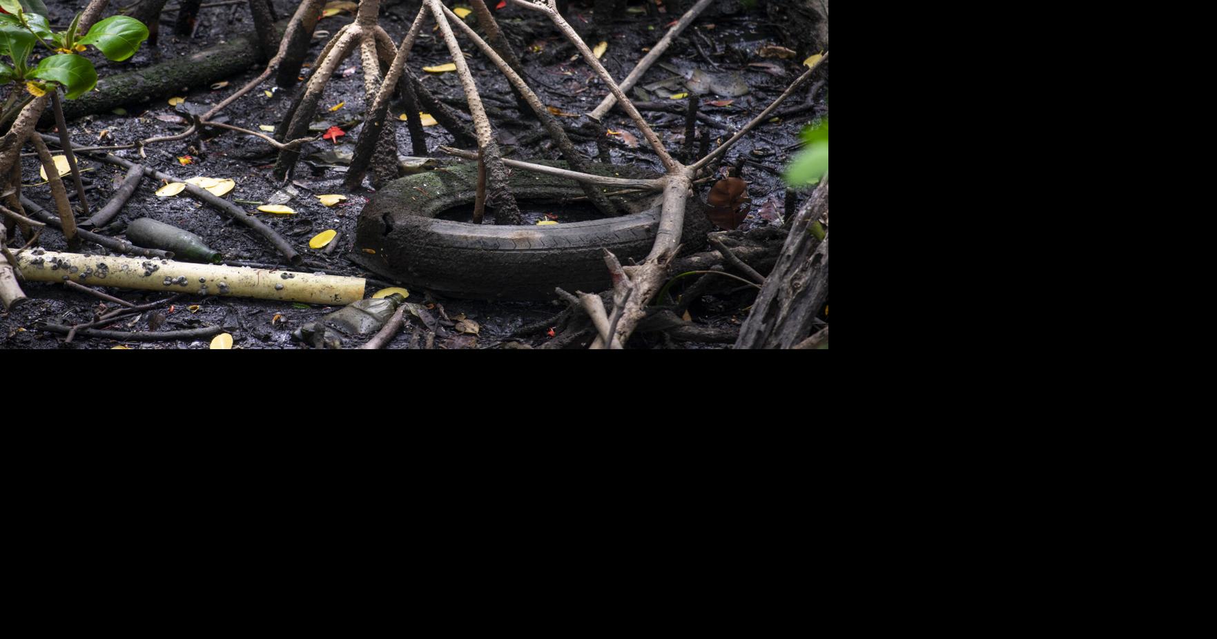 ÓPTICA: Un vistazo a la contaminación ambiental en Puerto Rico | óptica ...