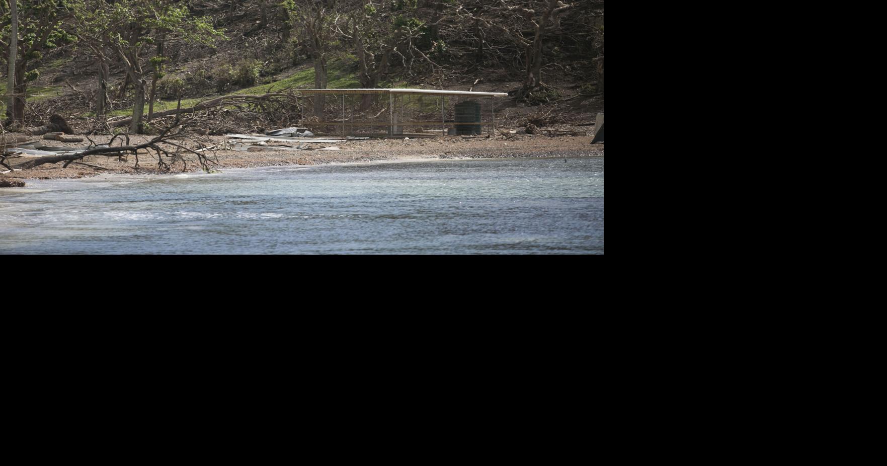 Universidad de Londres estudiará monos en Puerto Rico | Educación ...