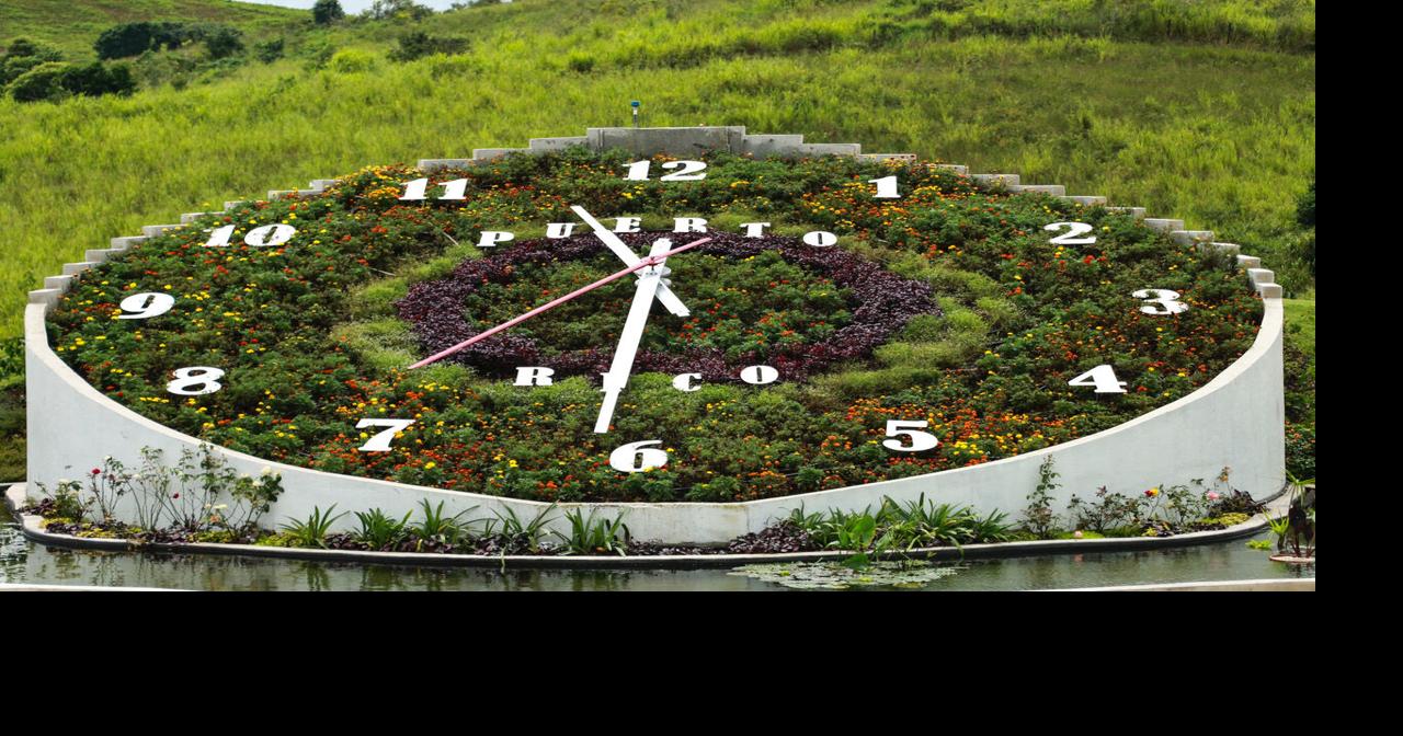 FOTOS: Un reloj de flores único en Puerto Rico | óptica | elvocero.com