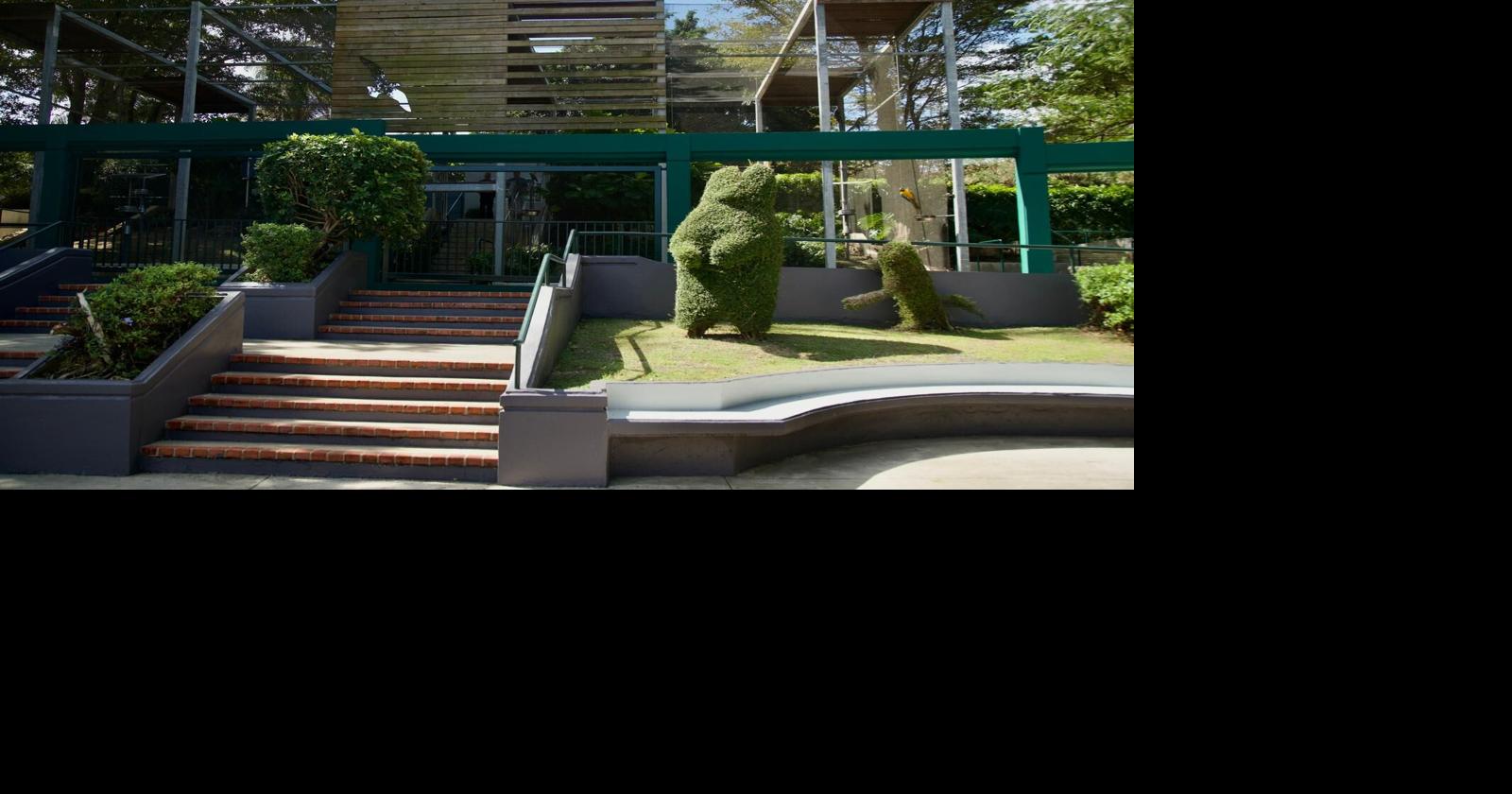 Animales del Parque de las Ciencias en Bayamón podrían ser trasladados ...