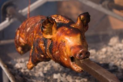 ¿Listos para la Ruta del Lechón? | Actualidad | elvocero.com