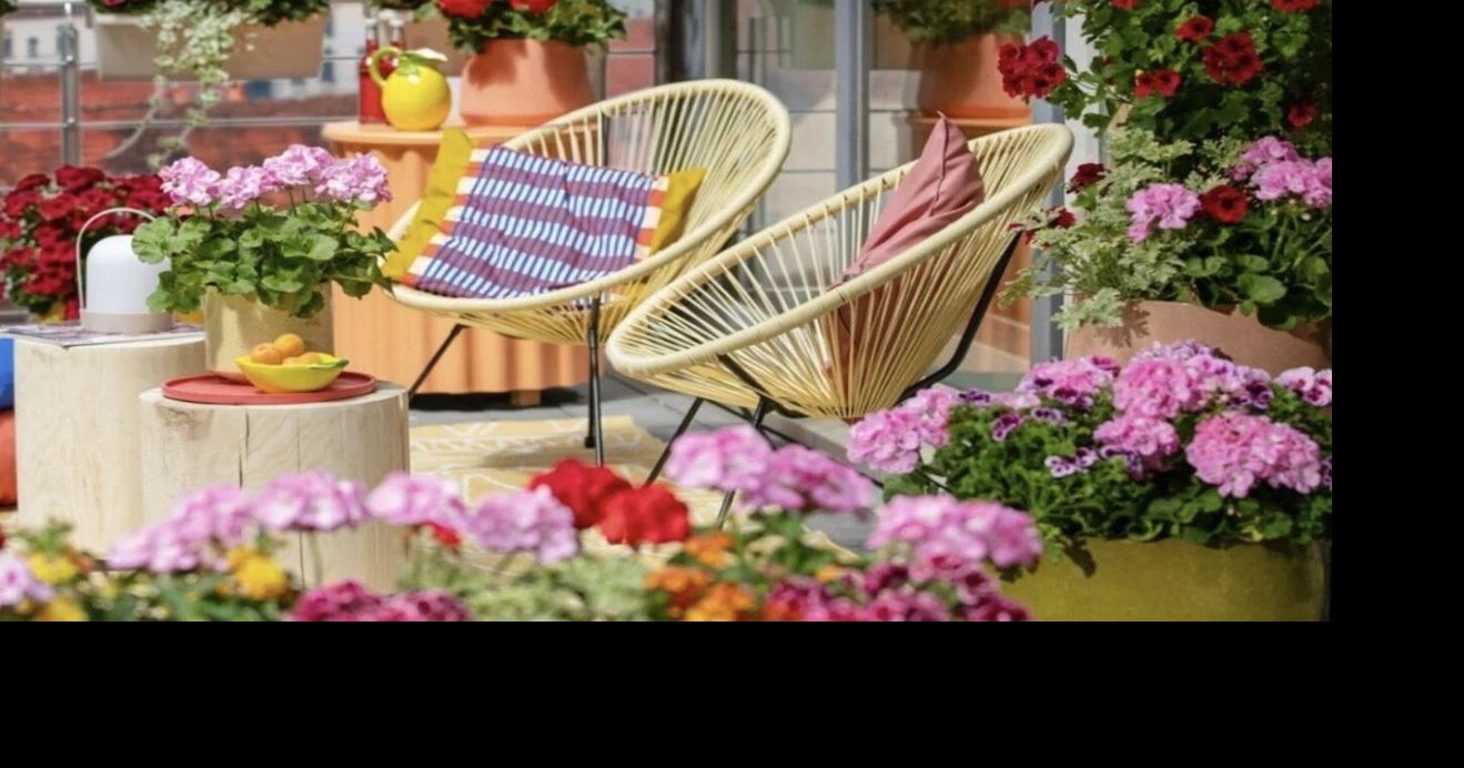 Dale color a tus exteriores | Revistas | elvocero.com