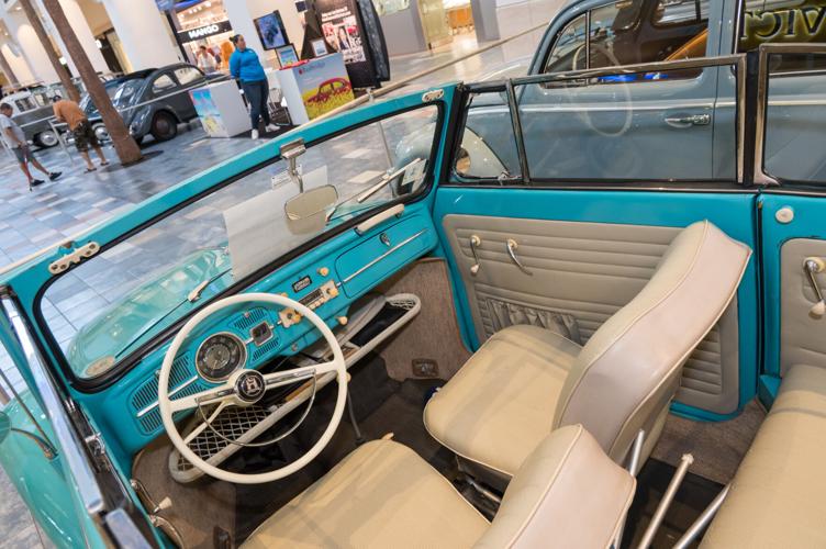 Plaza Las Américas Celebra la 17ª Edición de "Flower Power: It’s Volky ...