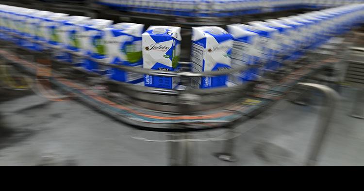 Cómo se hace: Leche UHT Indulac | Economía | elvocero.com