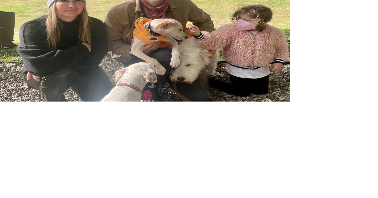 El actor de Hollywood Jeffrey Dean Morgan adoptó un perro de Puerto ...