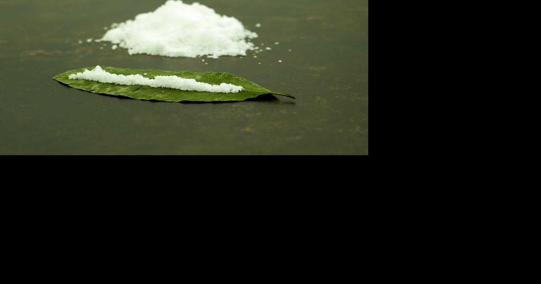 La cocaína se convertirá en el principal producto de exportación de ...