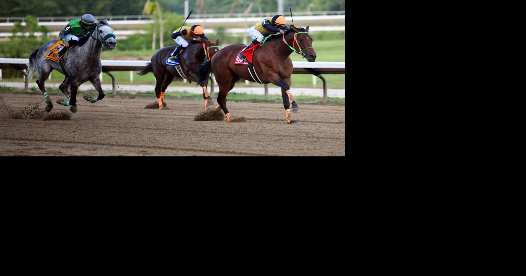 Don Cheo logra su quinta victoria clásica | Deportes | elvocero.com