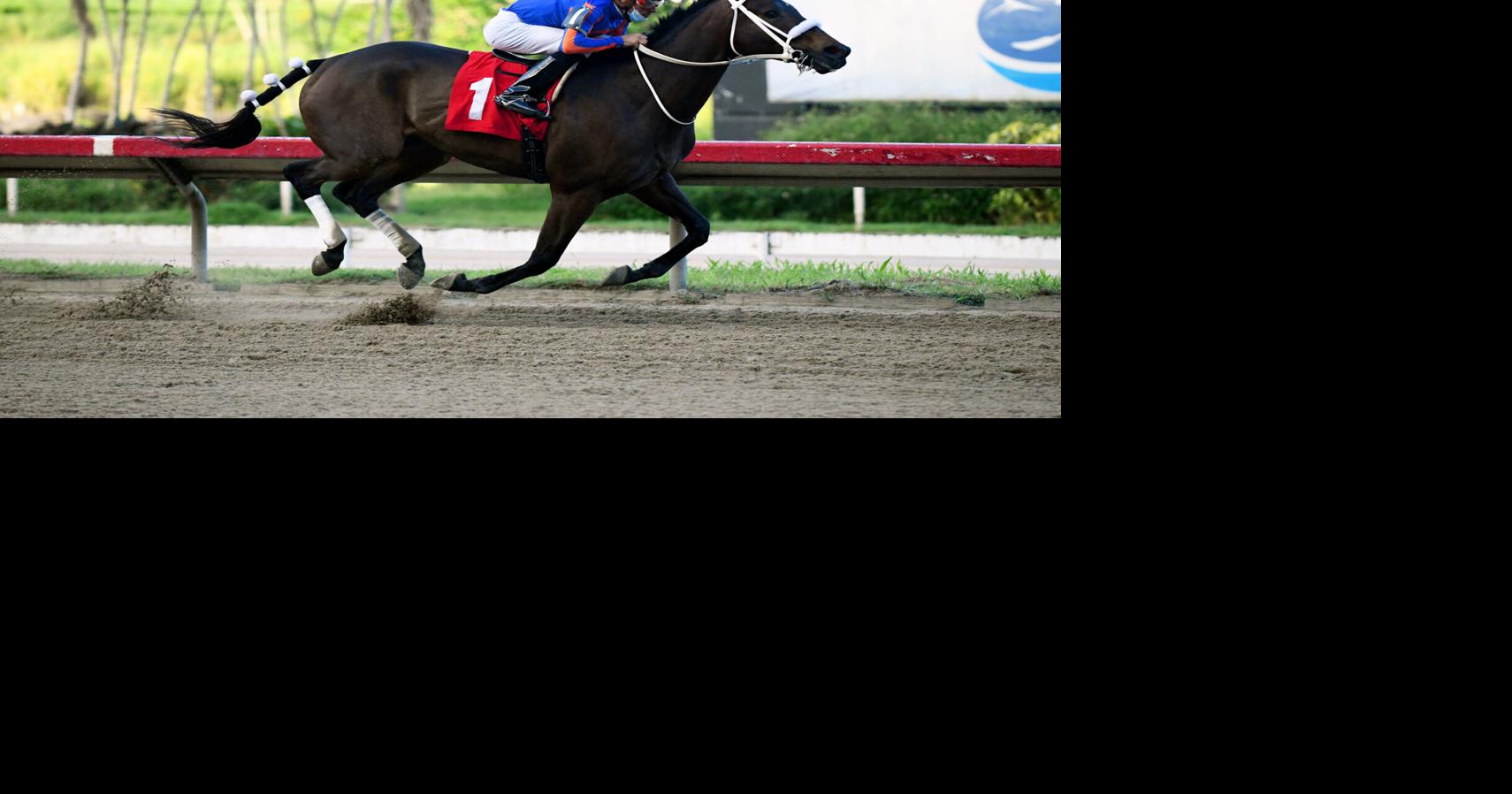 Importados mayores en el clásico Mister Frisky | Deportes | elvocero.com