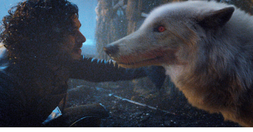 Lo que debes saber sobre los lobos de Game of Thrones | Notimascotas ...
