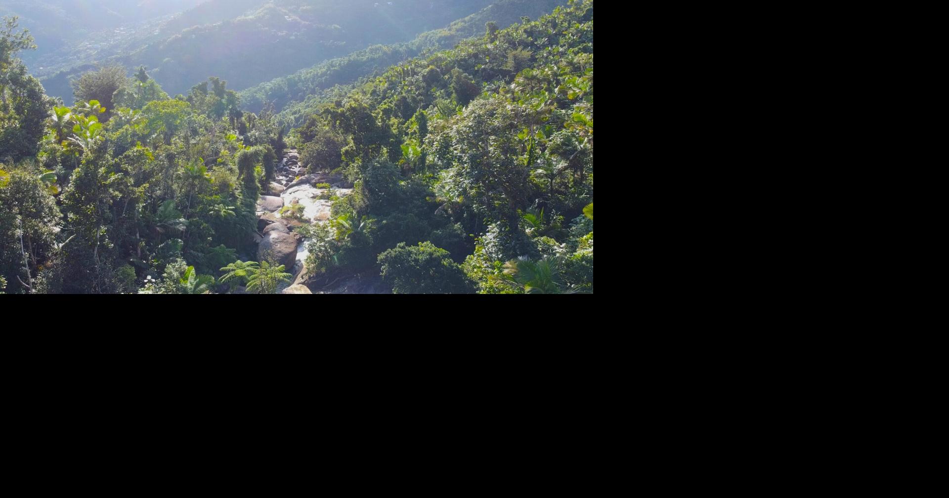 "Es bien riesgoso para poder llegar": advierten sobre peligros del ...