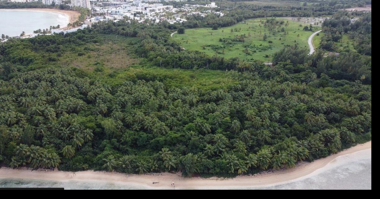 Impugnan certificación de deslinde en Punta Bandera | Gobierno ...