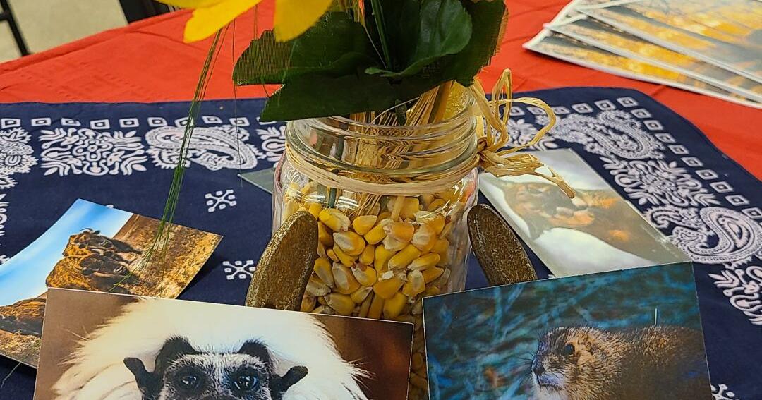 Friends of Zoo plan 30th fundraiser | Gaz | emporiagazette.com