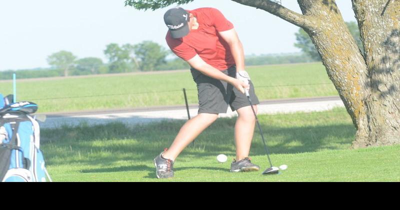 2017 Gazette Top 10 Sports Stories: No. 10 - Gentry Scheve has standout ...