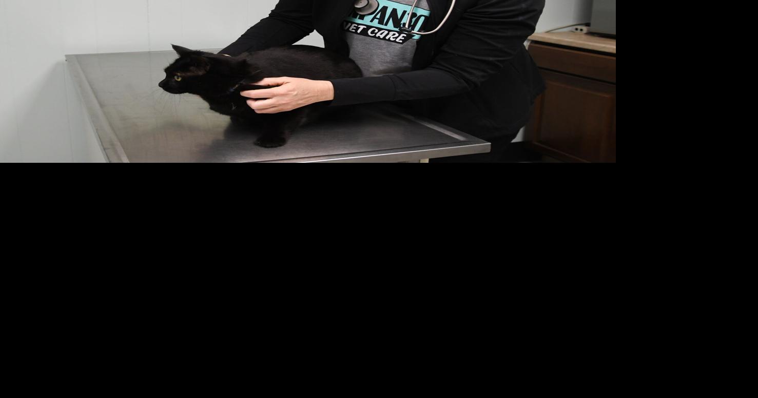 Dr. Tirsten Brockmeier takes the reins of Companion Vet Care | Free ...