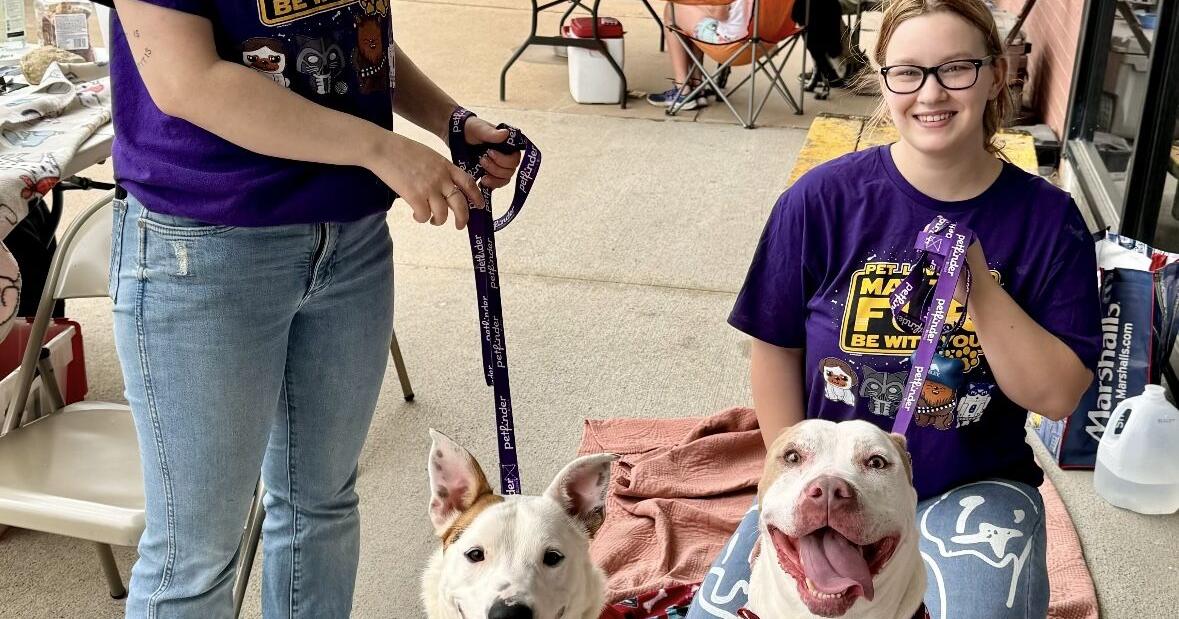 Petsense Adoptathon raises funds for local animal welfare groups, helps ...