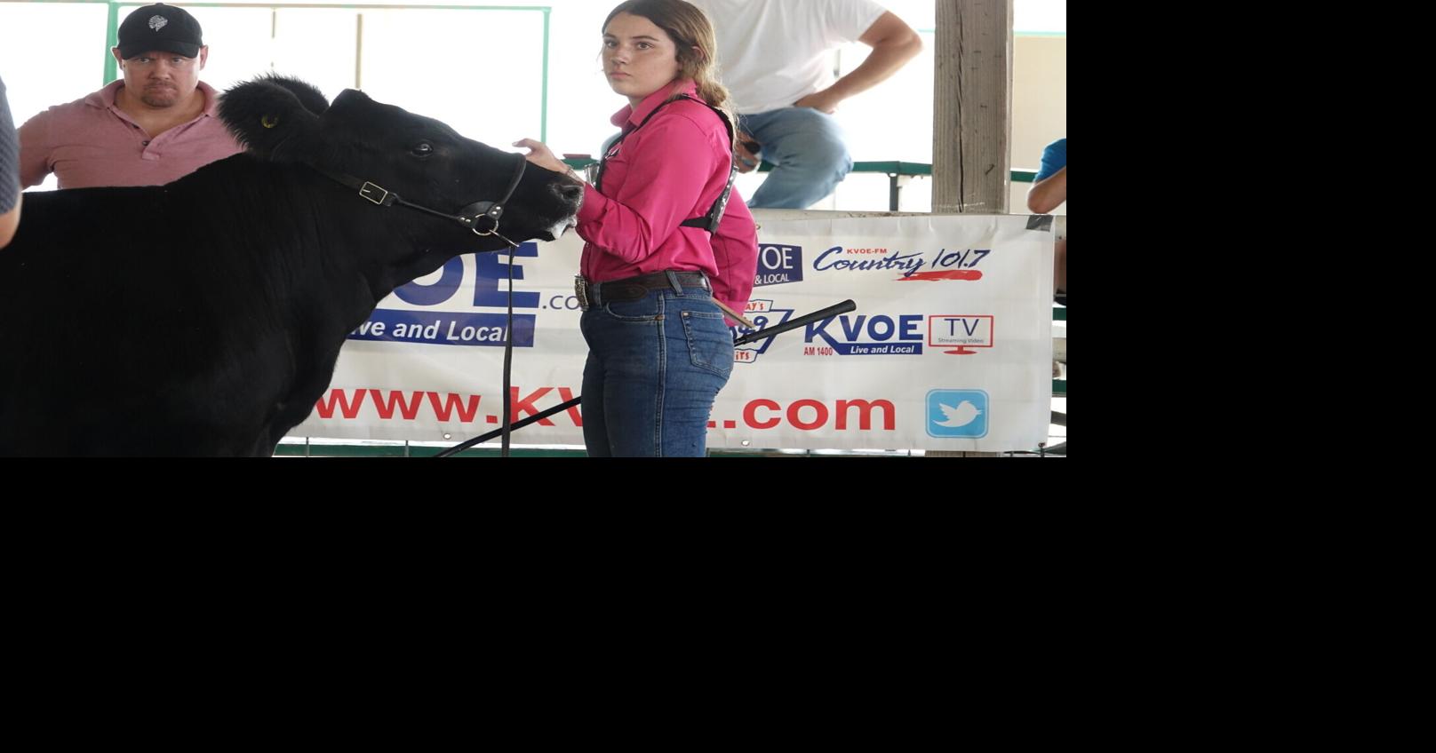 2023 Lyon County Fair beef show in photos | Gallery | emporiagazette.com