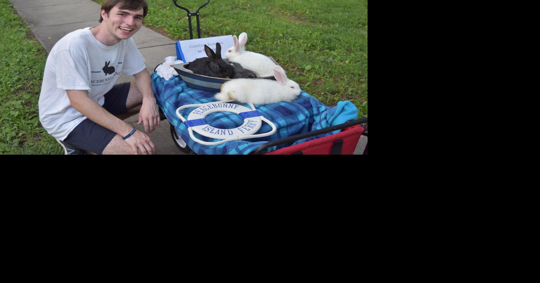 Peacebunny under investigation for animal cruelty | Gaz ...