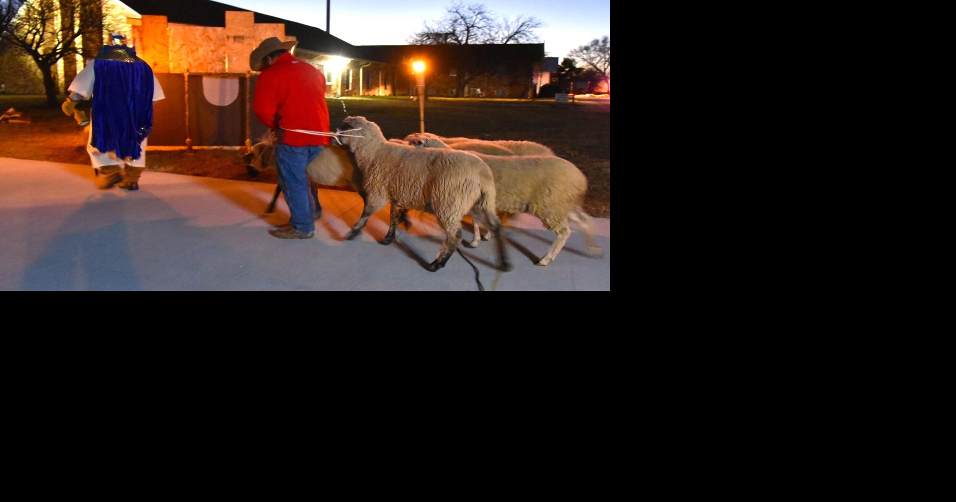 Nazarene's Live Nativity celebrates Christmas story | Gaz ...