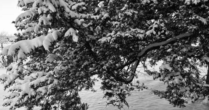 Winter Storm Aftermath: Residual Impact on Residents and Roadways ...