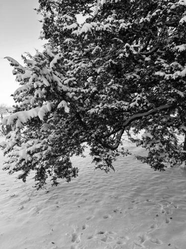 Winter Storm Aftermath: Residual Impact on Residents and Roadways ...