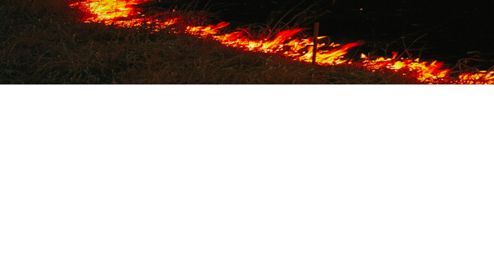 Prescribed burn fire season begins at Tallgrass Prairie National ...