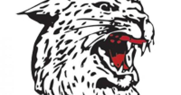 Wildcats drop sub-state title game to Wabaunsee | Free | emporiagazette.com