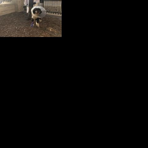 BRAXTON BUTLER RETURNS TO HIS ROOTS | Tmn | emporiagazette.com