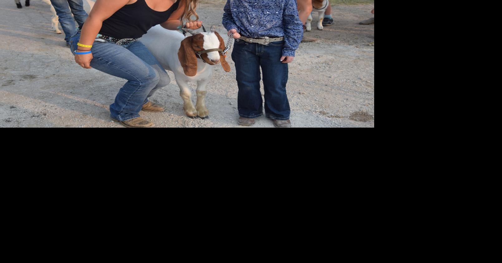 Pee Wee Showmanship at the Lyon County Fair | Free | emporiagazette.com