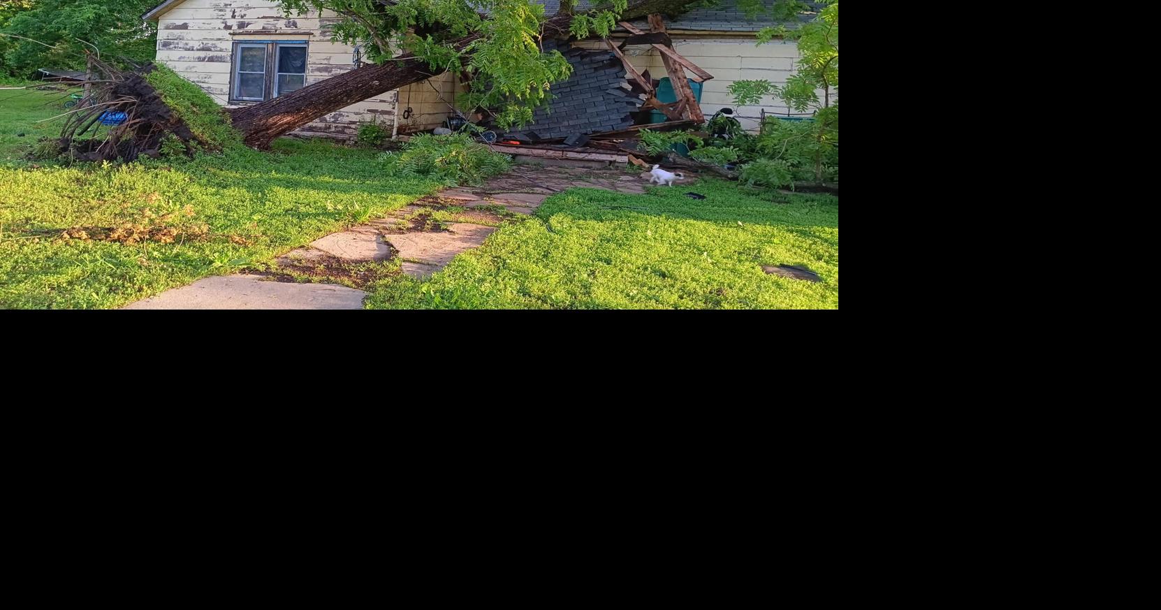 Sunday evening storm fells trees, causes damage in Emporia and ...