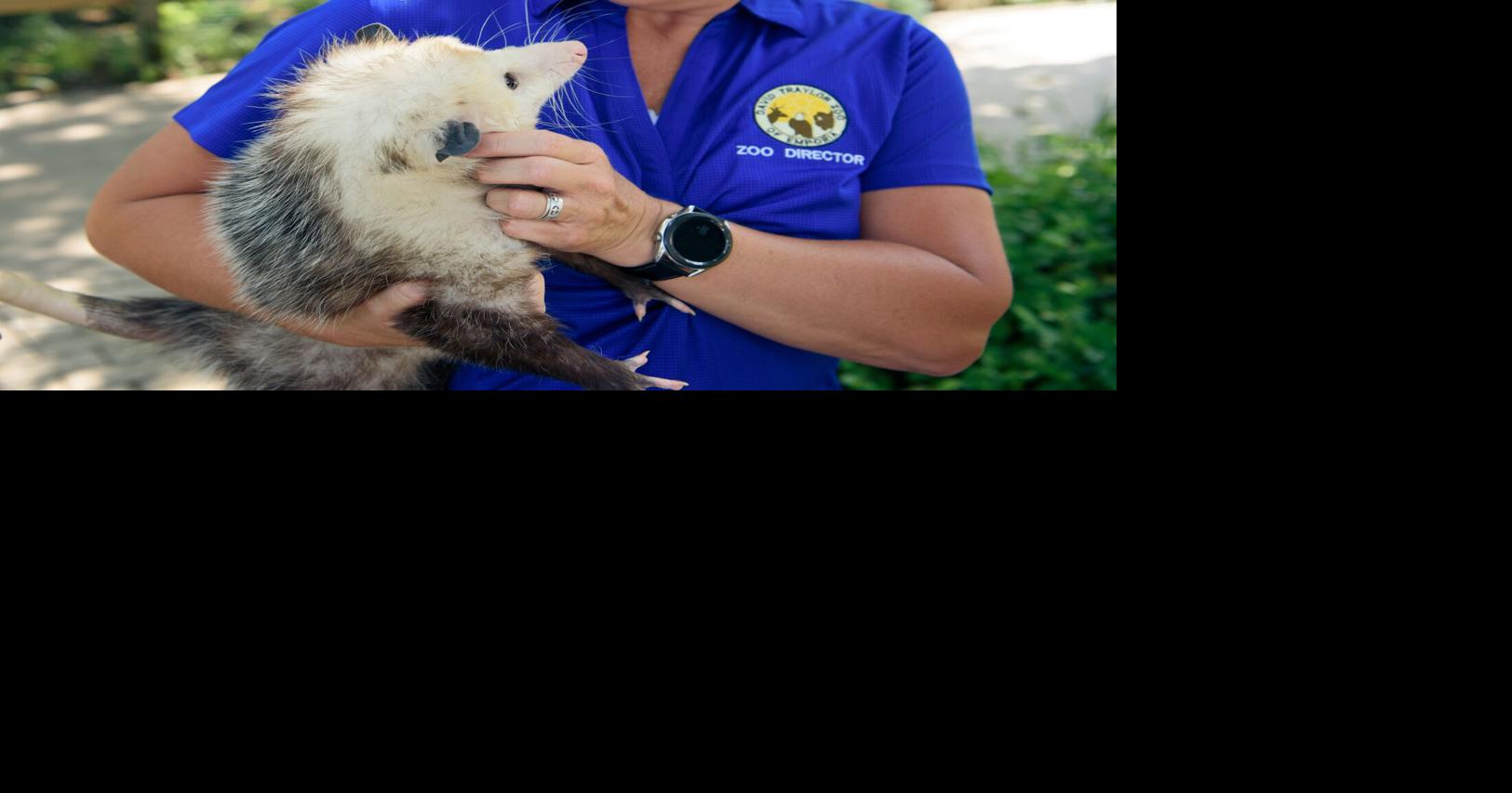 Retirement reception planned for outgoing zoo director | Free ...