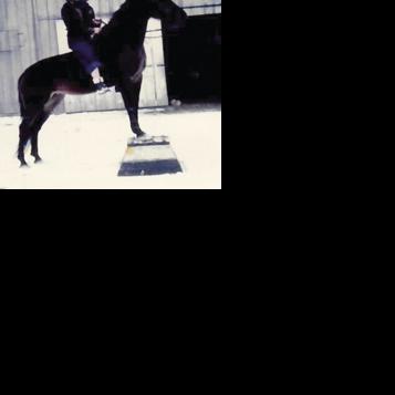 MaryLu R. Hainey | Free | emporiagazette.com