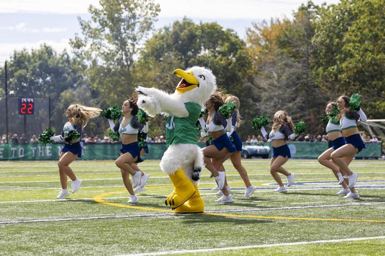 Endicott Football Mounts Homecoming Comeback | Sports ...