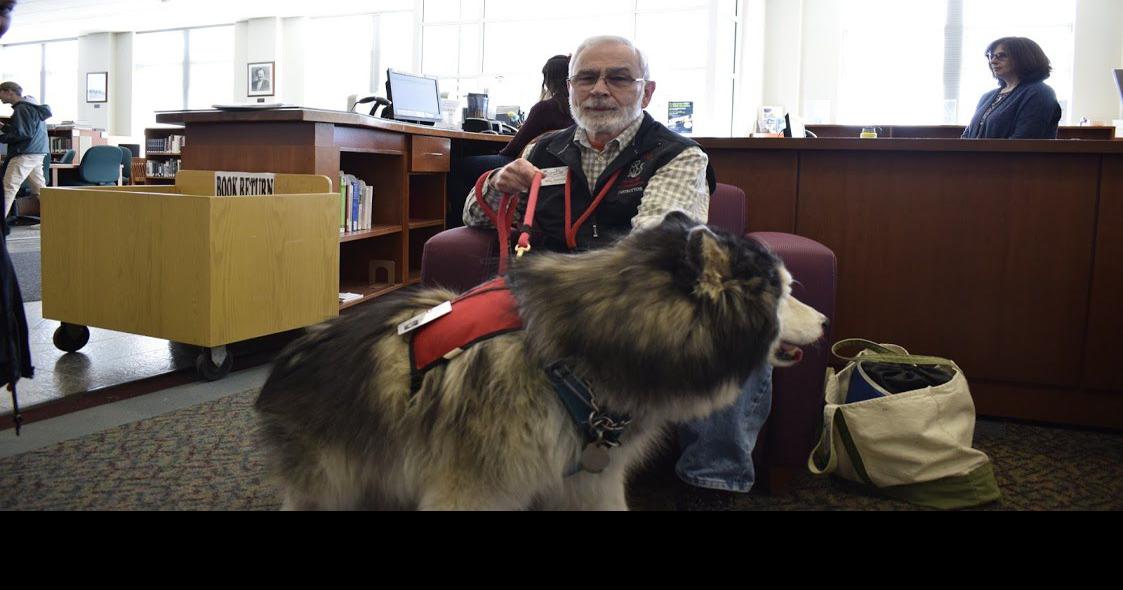Take a Moment to 'Paws' with Endicott’s Therapy Dogs | Features ...