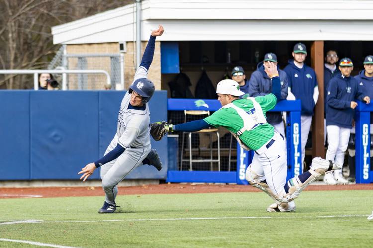 Baseball Defeats Southern Maine, 12-2 | Sports | endicottobserver.com