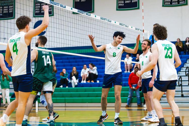 Men’s Volleyball Sweeps the Russell Sage Gators in NEVC Quarterfinals ...