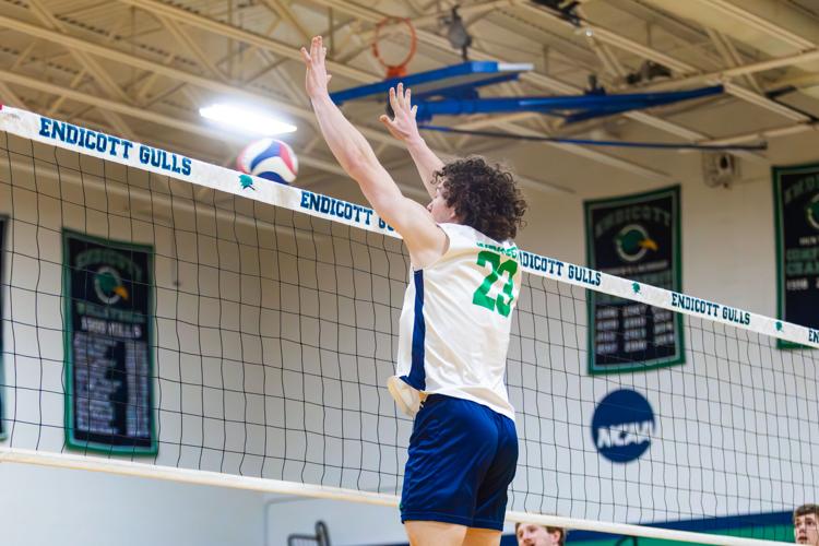 Men’s Volleyball Sweeps the Russell Sage Gators in NEVC Quarterfinals ...