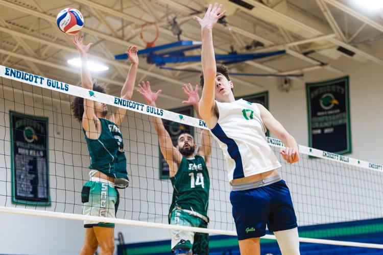 Men’s Volleyball Sweeps the Russell Sage Gators in NEVC Quarterfinals ...