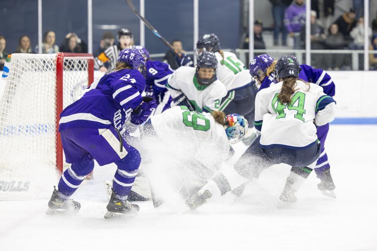 Women's Hockey Wins the CNE Championship | Sports | endicottobserver.com