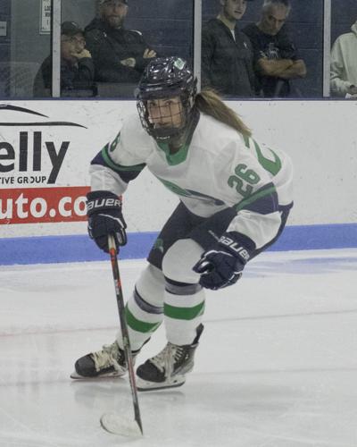 Endicott Women’s Ice Hockey Defeats University of Southern Maine ...