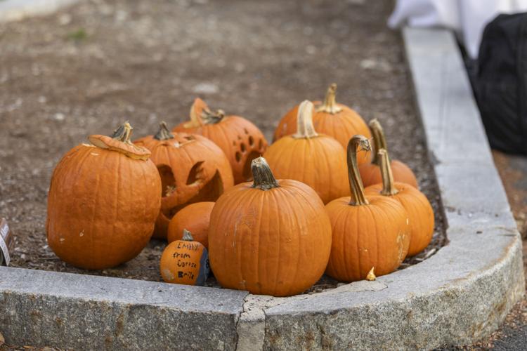 Annual Pumpkin Drop | Multimedia | endicottobserver.com