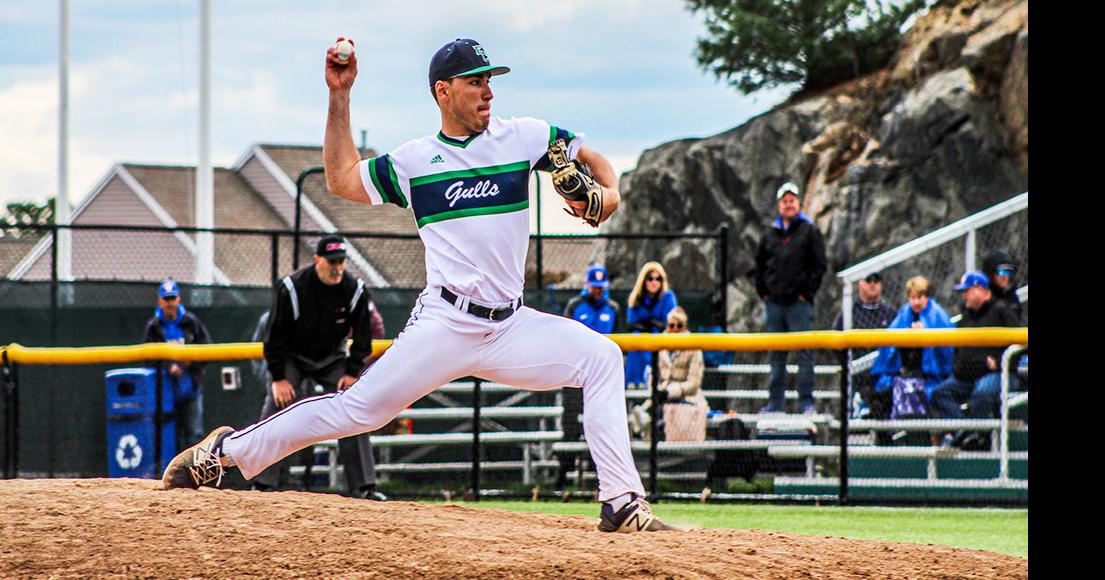 Endicott Baseball: A 2020 Preview | Multimedia | endicottobserver.com