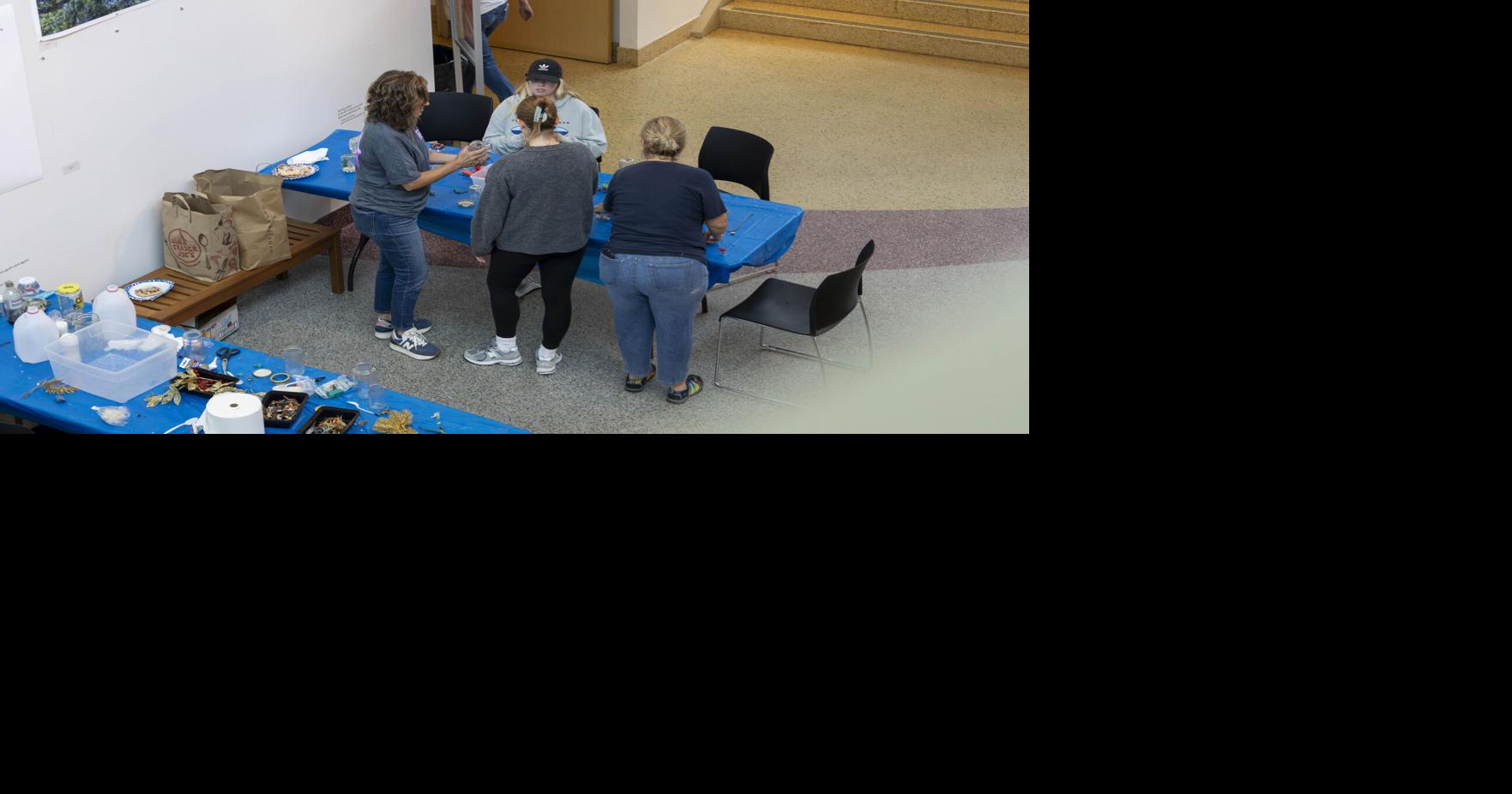 VPAC Hosts Art on the Pond | Multimedia | endicottobserver.com