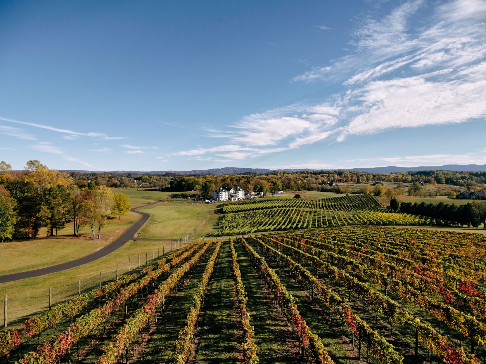 Nicewonder Farm & Vineyards: A Luxury Retreat in Virginia's Blue Ridge ...