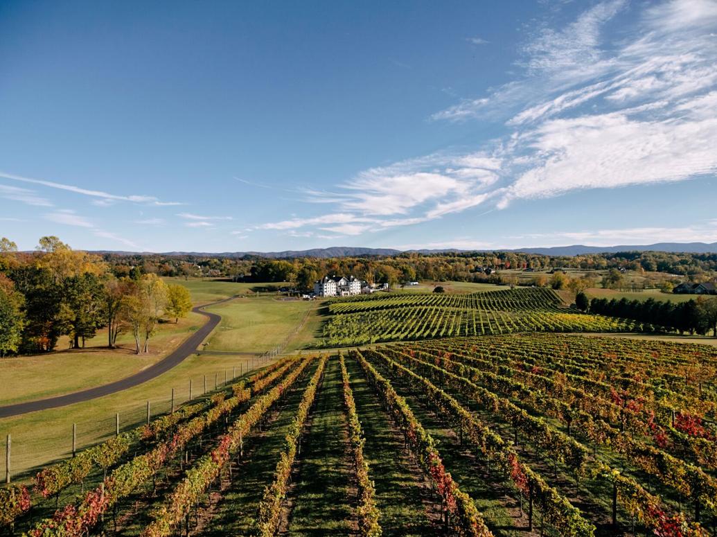 Nicewonder Farm & Vineyards: A Luxury Retreat in Virginia's Blue Ridge ...
