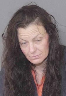 Woman wanted for drugs tries to run from sheriff’s K9 | Enquirer ...