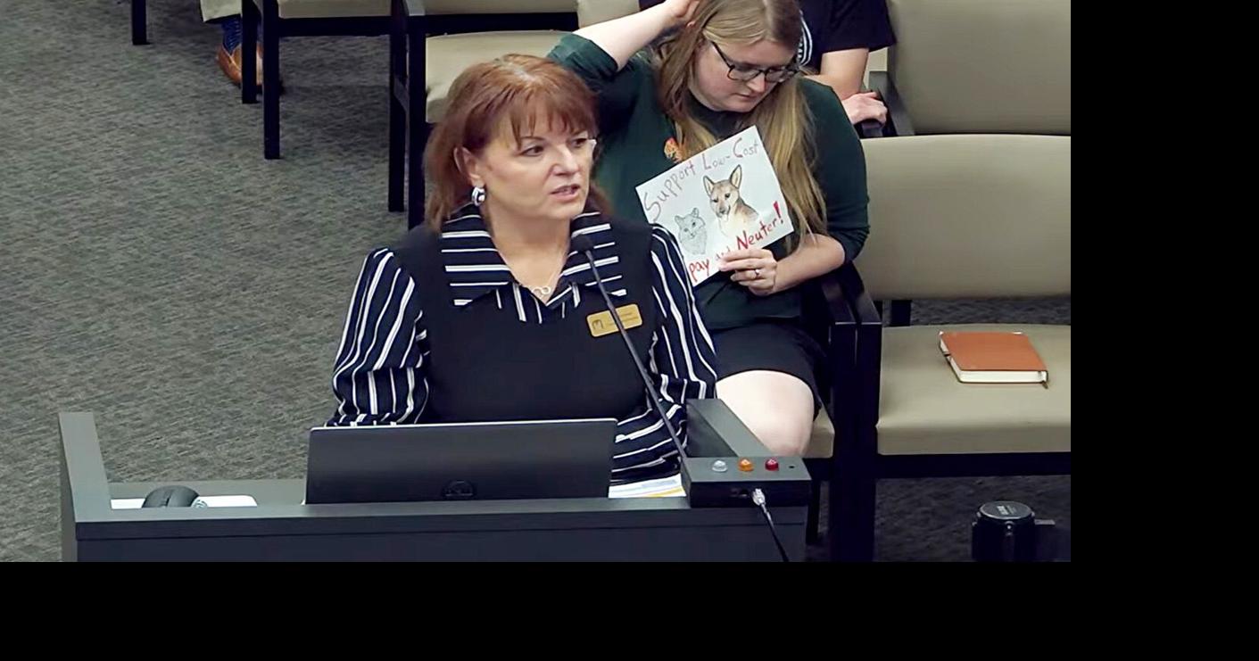 Burns, Dotson question colleagues over nonprofit funding | Enquirer ...