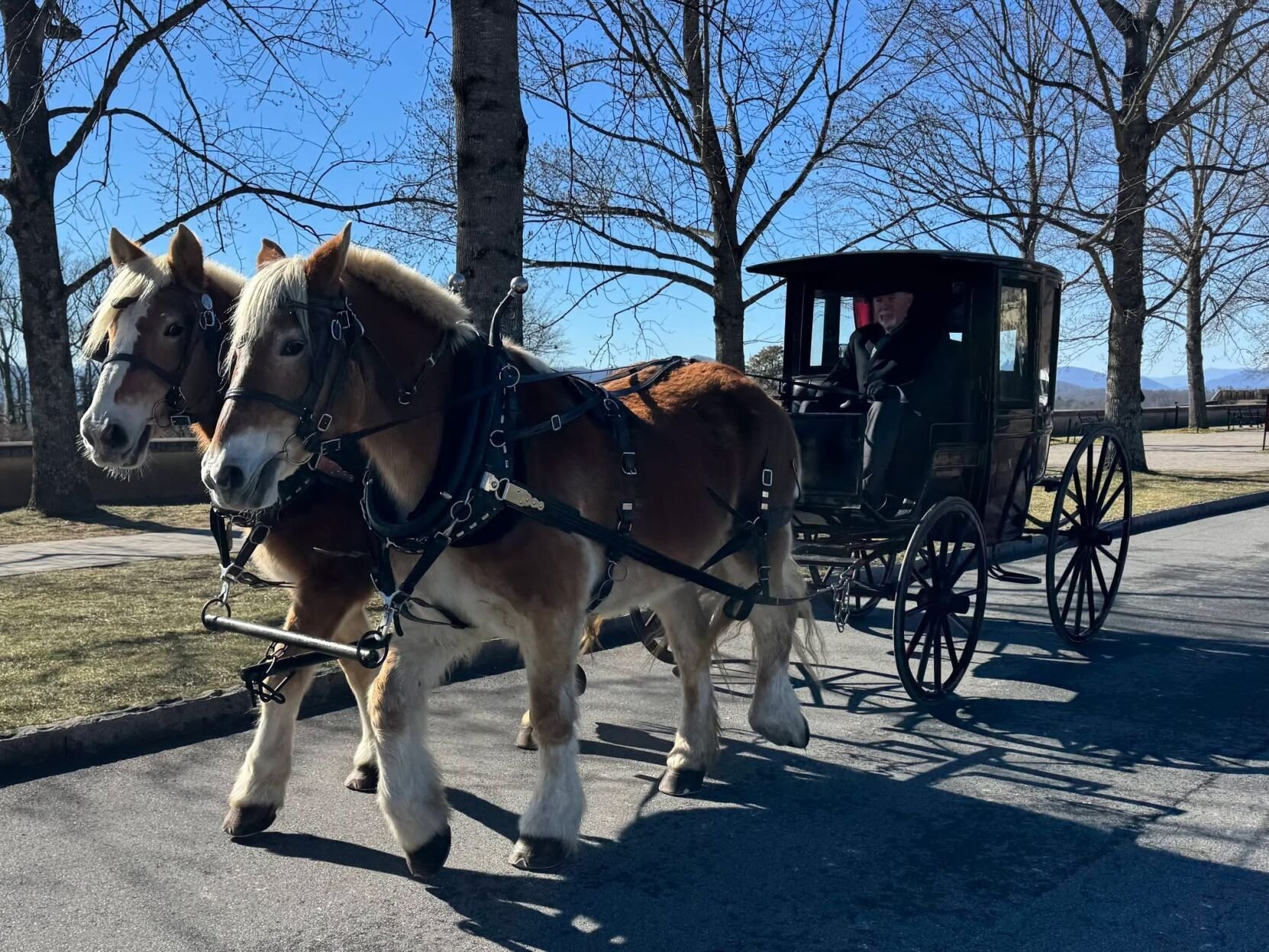 Medlin Family to star in Biltmore Christmas movie sequel | Enquirer ...