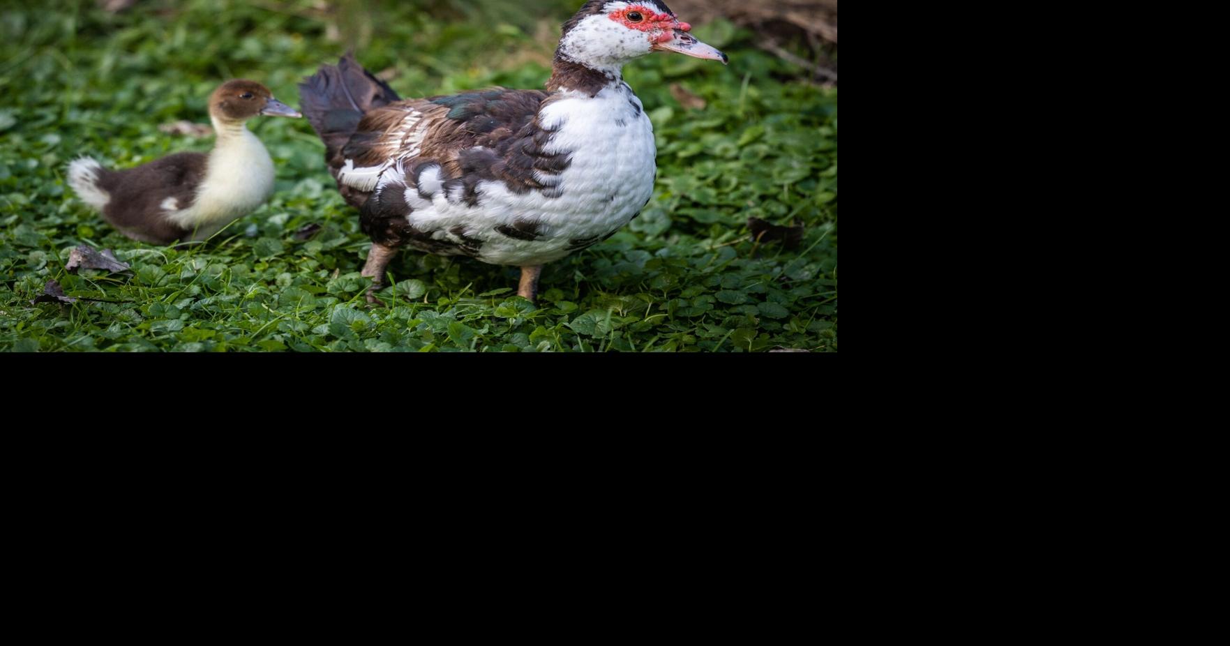 Jason Struthers cannabis operations photographed by Struthers ...