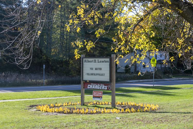 ADL and EMS students plant tulips, support mental wellness with Yellow ...